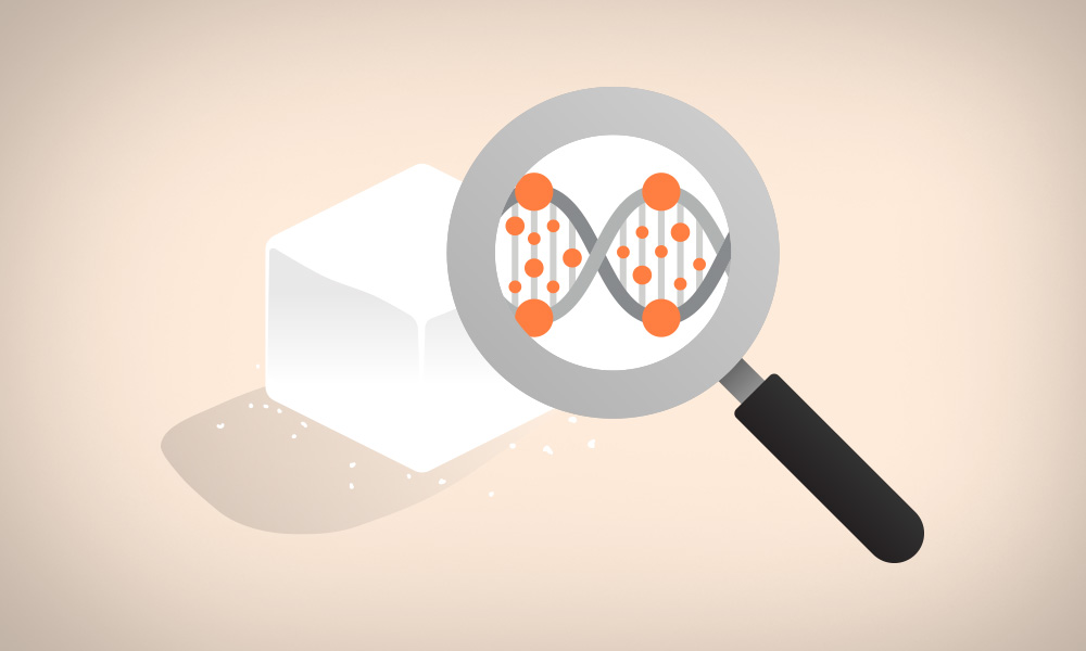 DNA-Based Storage: The Future of Data Archiving?